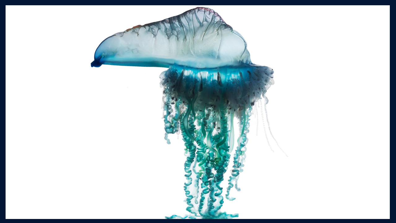 Biooui | คอร์สเรียน