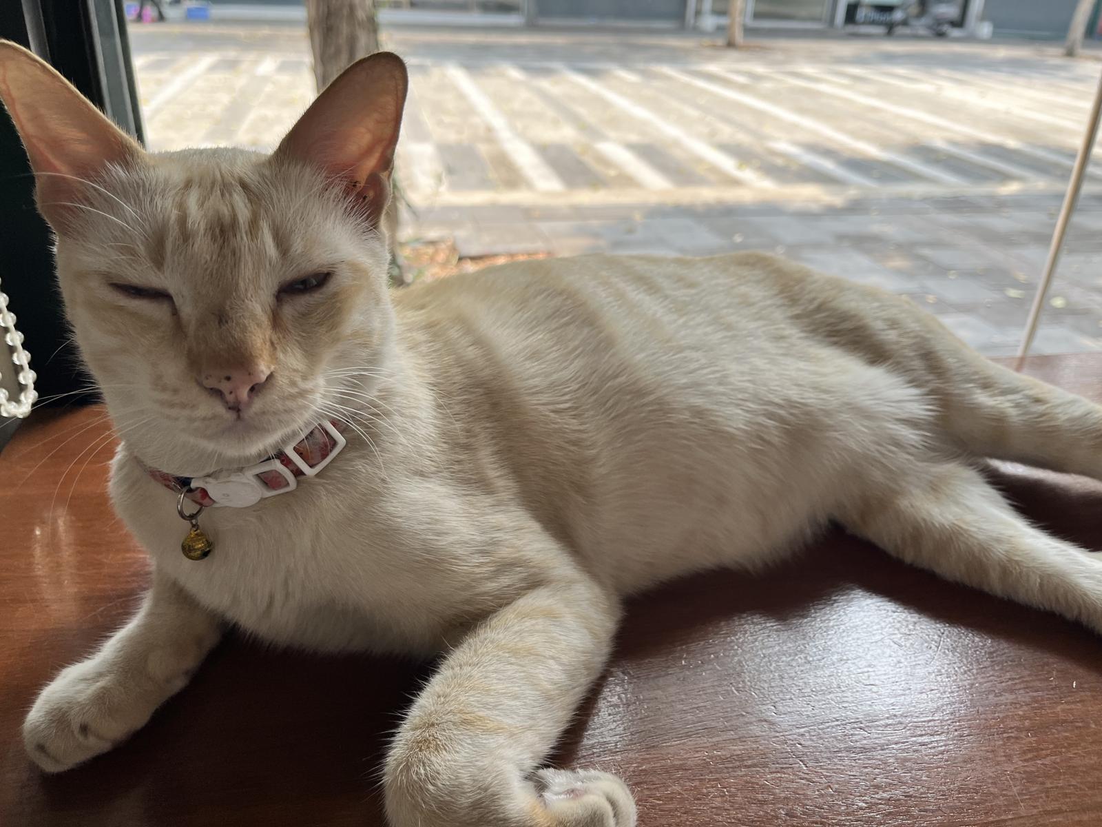 Biooui | Biooui For Staff