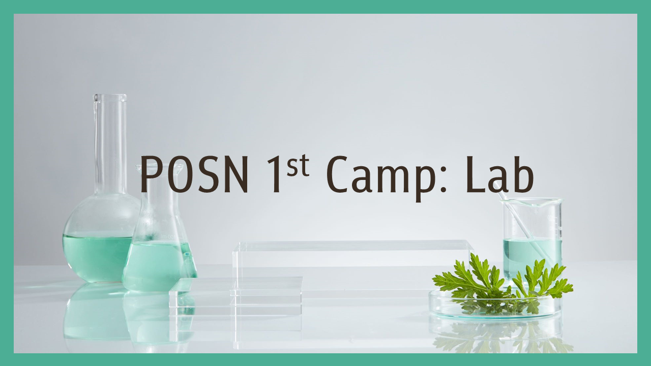 Biooui | POSN 1st Camp: Lab