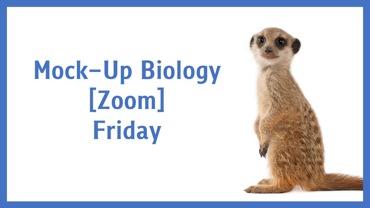 Biooui | คอร์สเรียน