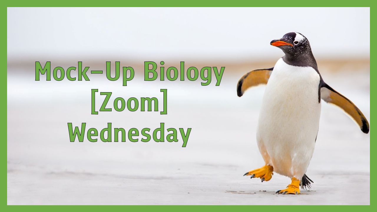 Biooui | Mock-Up Biology [Wednesday Zoom] 2023