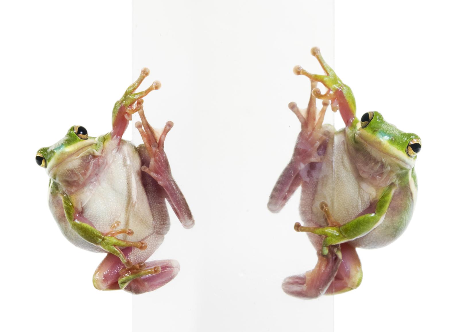 Biooui | คอร์สเรียน